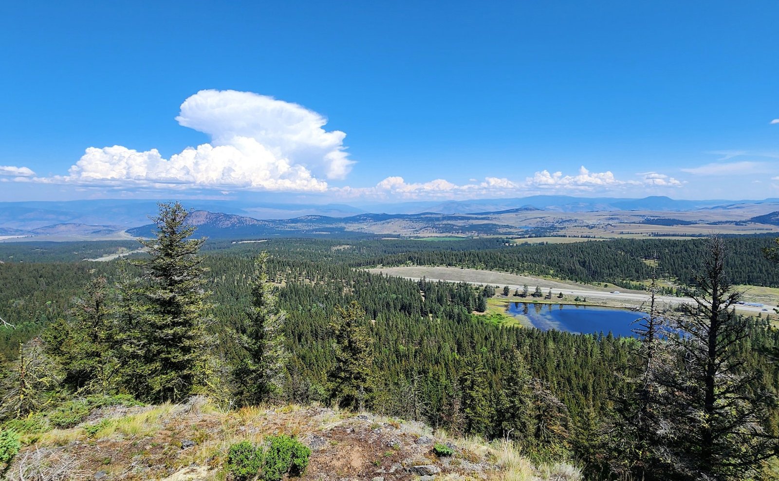 Hiking the Timber Lake Hills - Kamloops Trails