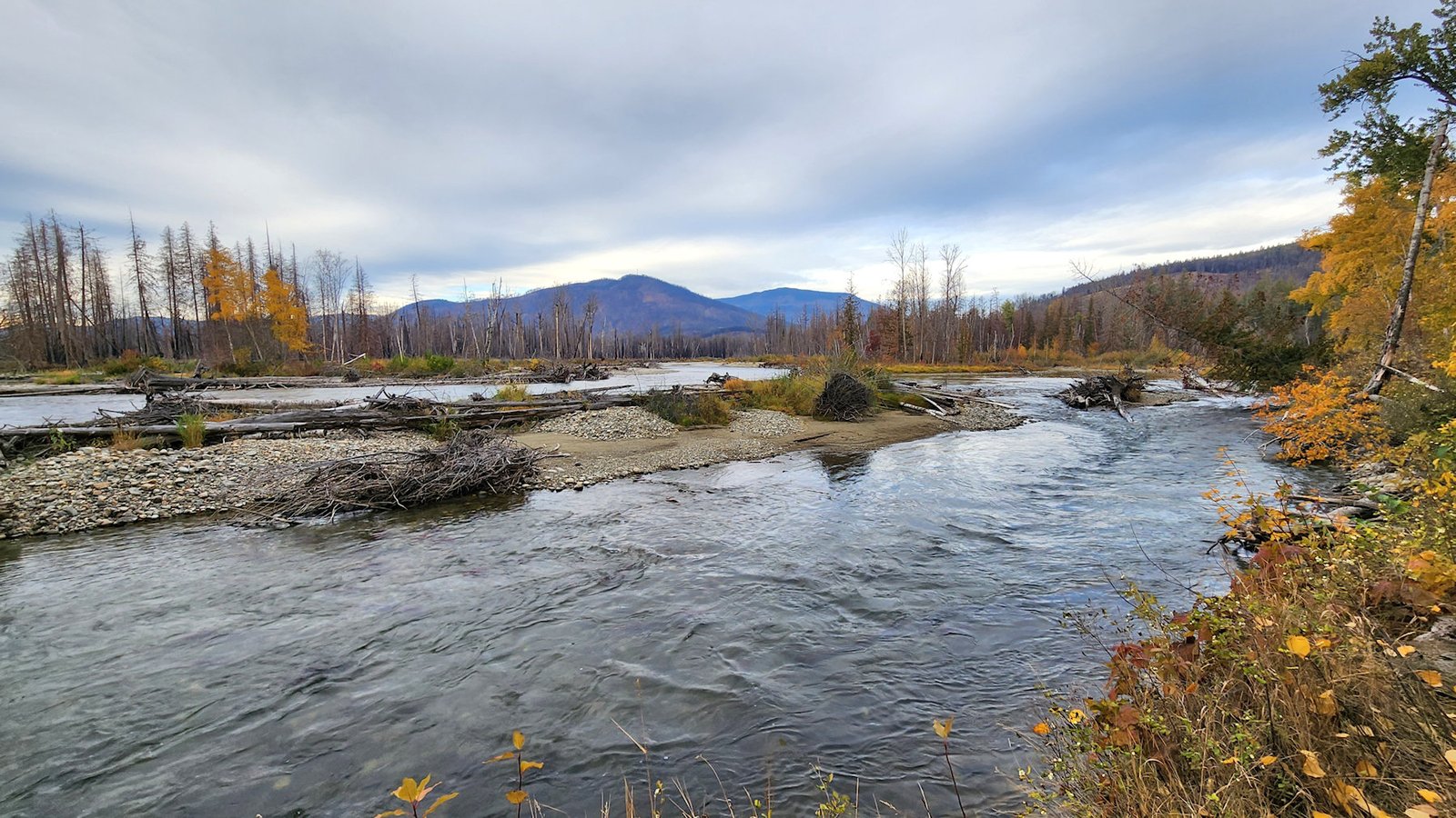 Adams River Hike - Kamloops Trails